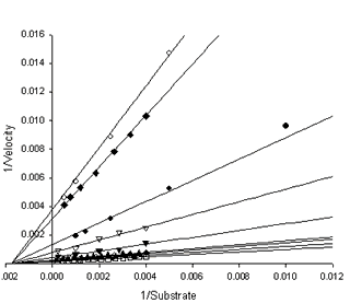 S4U - SigmaPlot Enzyme Kinetics